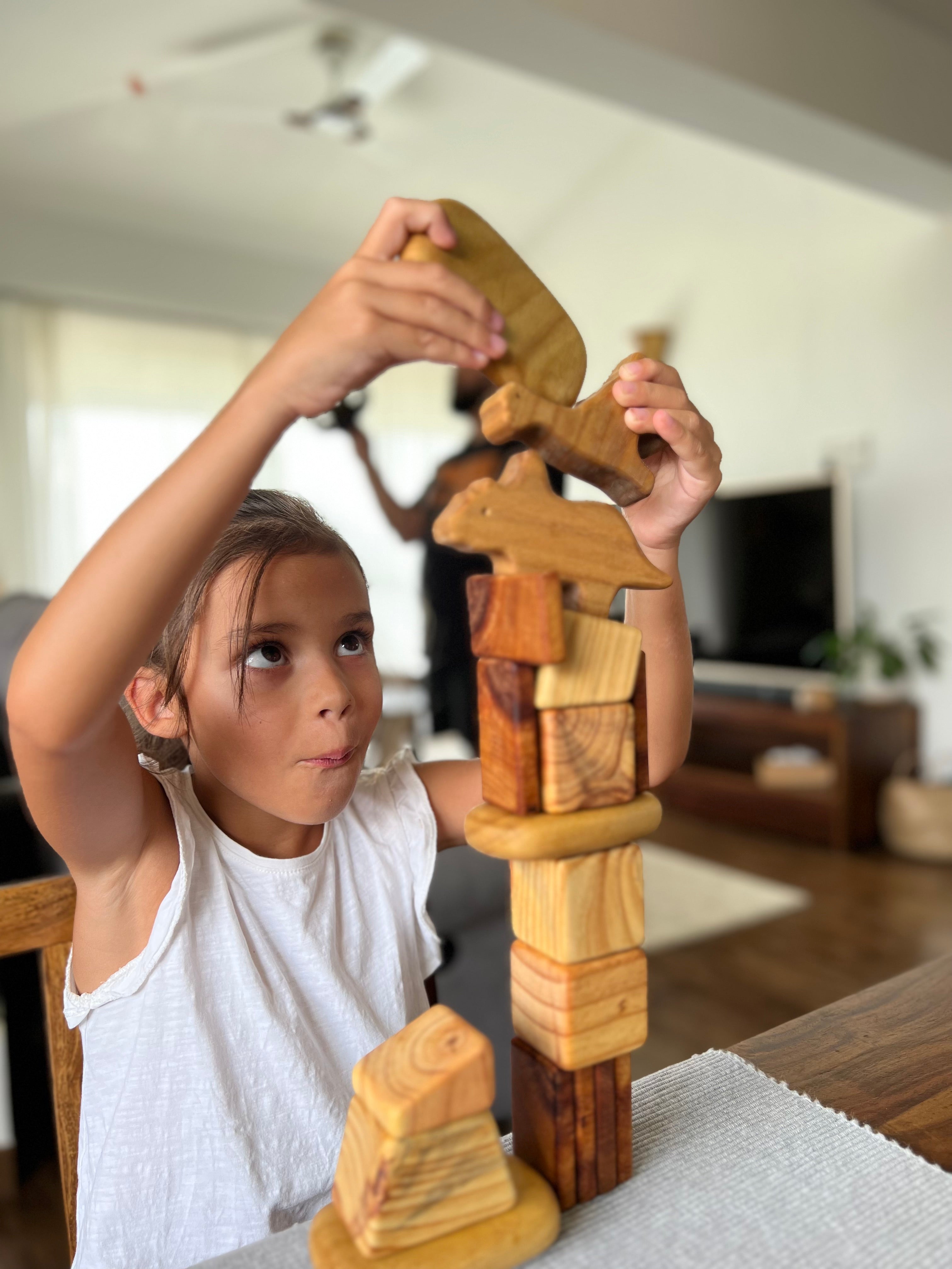 Facing the Competition: How Wooden Toys Stand Out in a Digital Age – smol-block